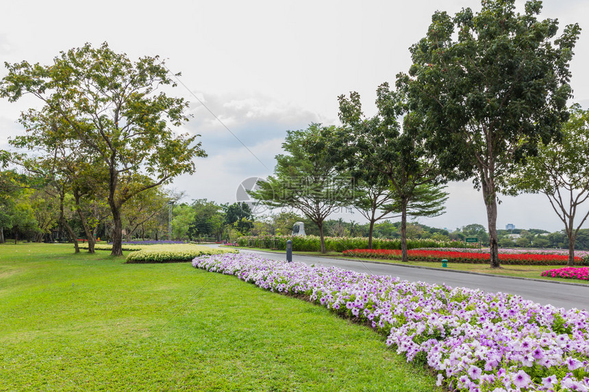 在走廊一带有树木和草地的公园有高清图片下载-正版图片507254480-摄图网