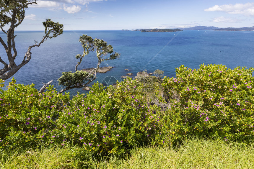 来自新泽兰群岛湾Paihi高清图片下载-正版图片507259415-摄图网