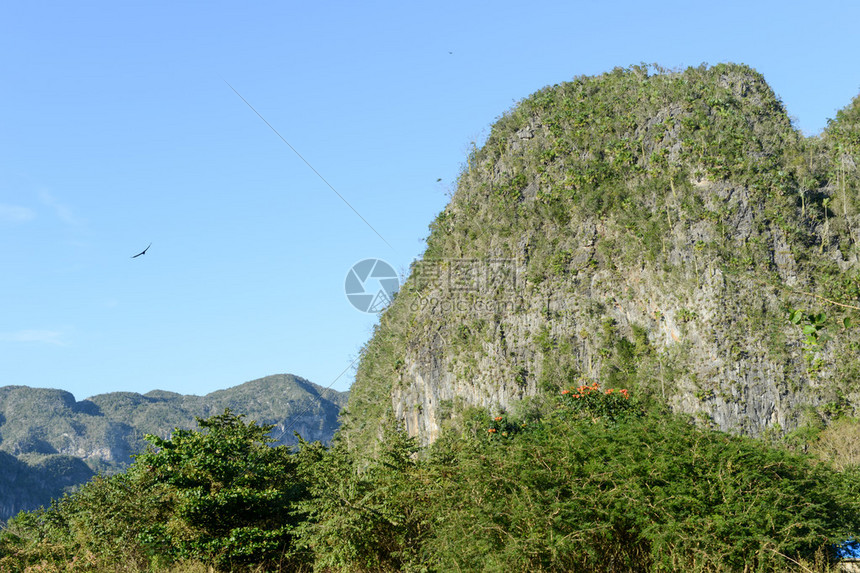 古巴比纳莱斯山谷的景观与mogotes高清图片下载-正版图片507269105-摄图网
