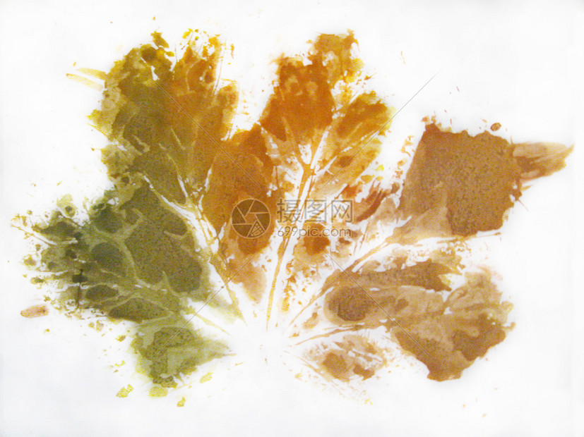 绘制秋季的MapleLeaf双周图画I高清图片下载-正版图片507276984-摄图网
