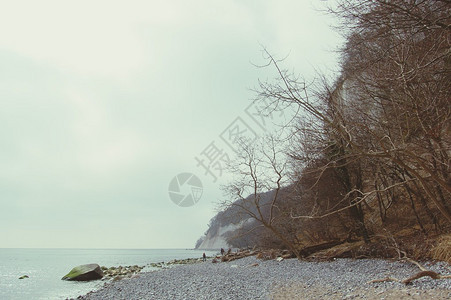 在Jasmund公园德国梅克伦堡沃波默恩的Rugen岛Rug高清图片下载-正版图片507305708-摄图网