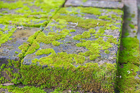 Mos图片_Mos素材_Mos高清图片_摄图网图片下载