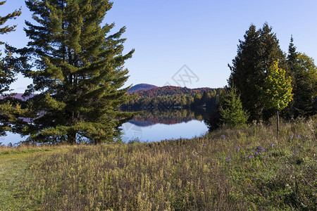夏季在加拿大魁北克省Monttremblant的Laure高清图片下载-正版图片507437686-摄图网