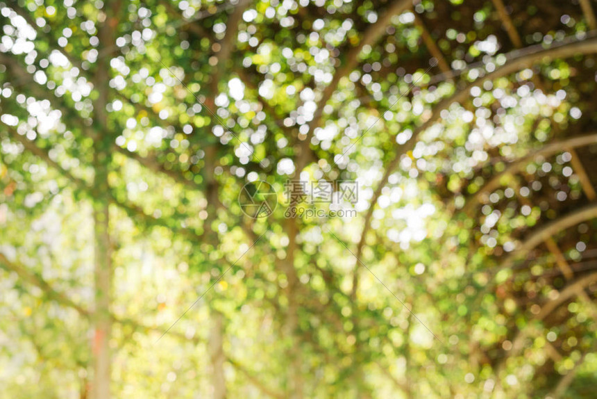模糊的背景高清图片下载-正版图片507343231-摄图网