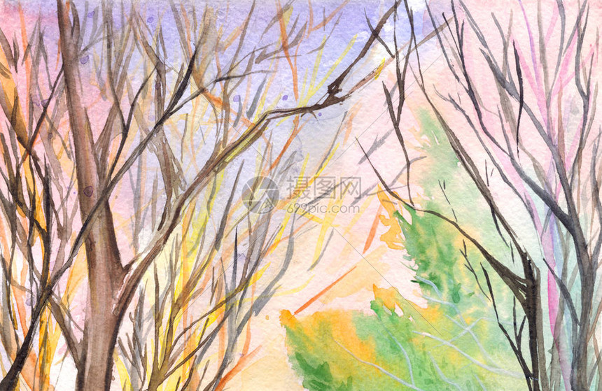 水彩秋天自然树林公园高清图片下载-正版图片507357081-摄图网