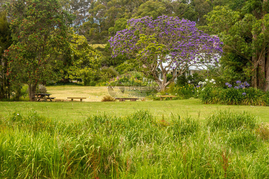 新西兰群岛湾Kerik高清图片下载-正版图片507368517-摄图网