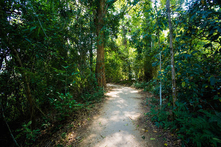 在老挝的四千个岛屿上高清图片下载-正版图片507388979-摄图网