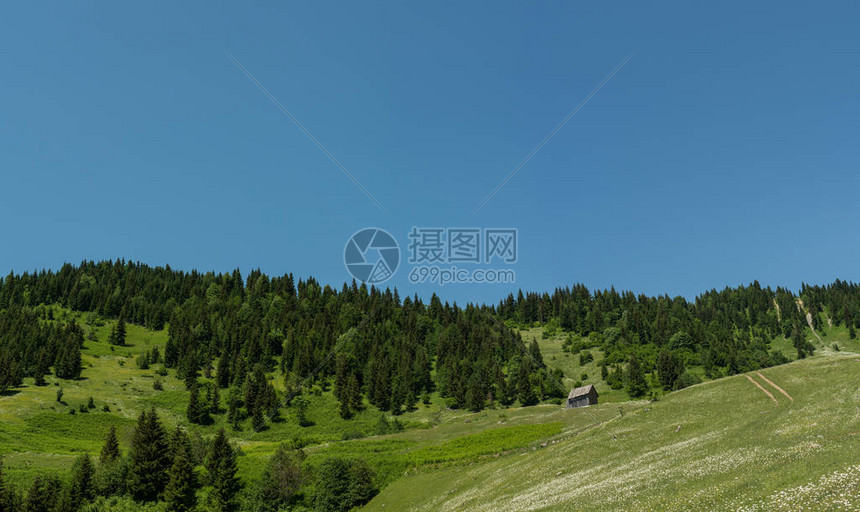 高加索山脉格鲁吉亚斯瓦涅高清图片下载-正版图片507404044-摄图网