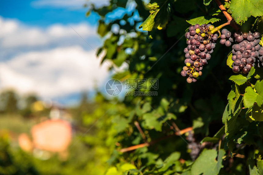 日落在Collio高清图片下载-正版图片507412903-摄图网