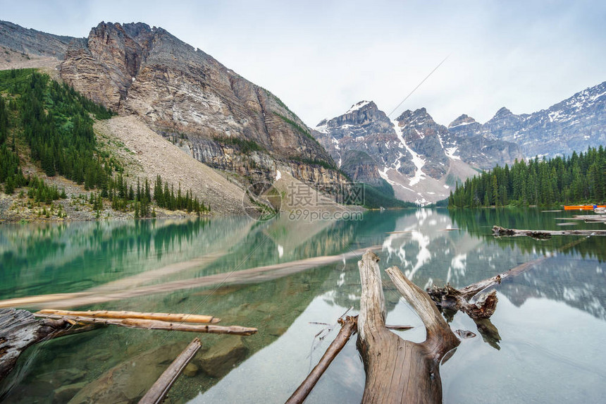 带原木的摩拉因湖加拿大艾伯塔高清图片下载-正版图片507417096-摄图网