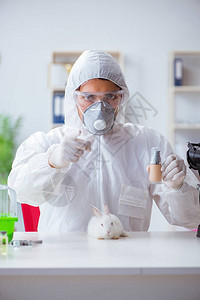 科学家在实验室里用兔高清图片下载-正版图片507429604-摄图网