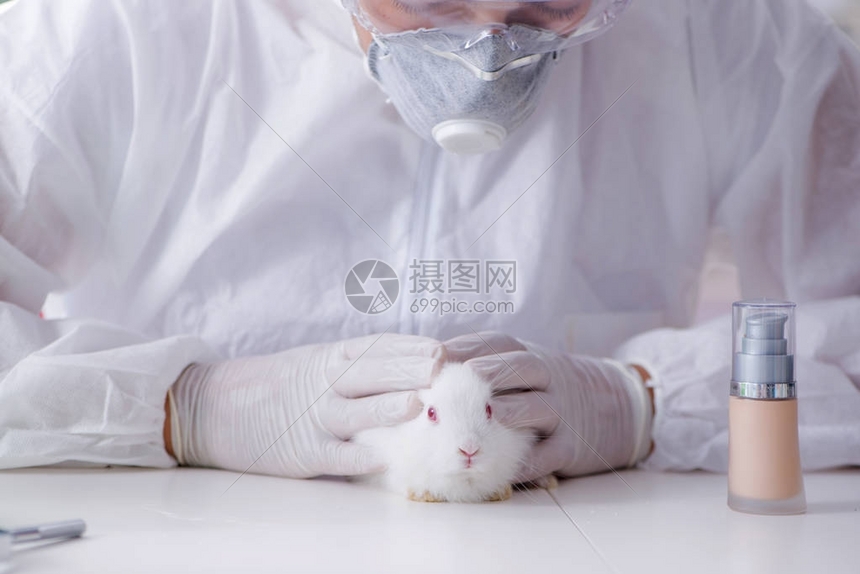 科学家在实验室里用兔高清图片下载-正版图片507439233-摄图网