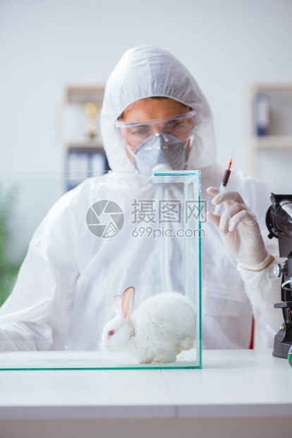 科学家在实验室里用兔高清图片下载-正版图片507442788-摄图网