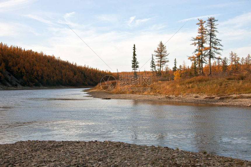 9月在俄罗斯Krasnoyarsk地区河岸和Evenkia的Larchtaiga俄罗斯克拉斯高清图片下载-正版图片507445062-摄图网