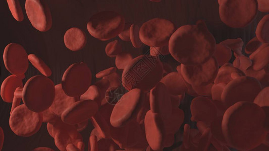 显微镜下的人类卵巢细胞和Ovari高清图片下载-正版图片507361804-摄图网