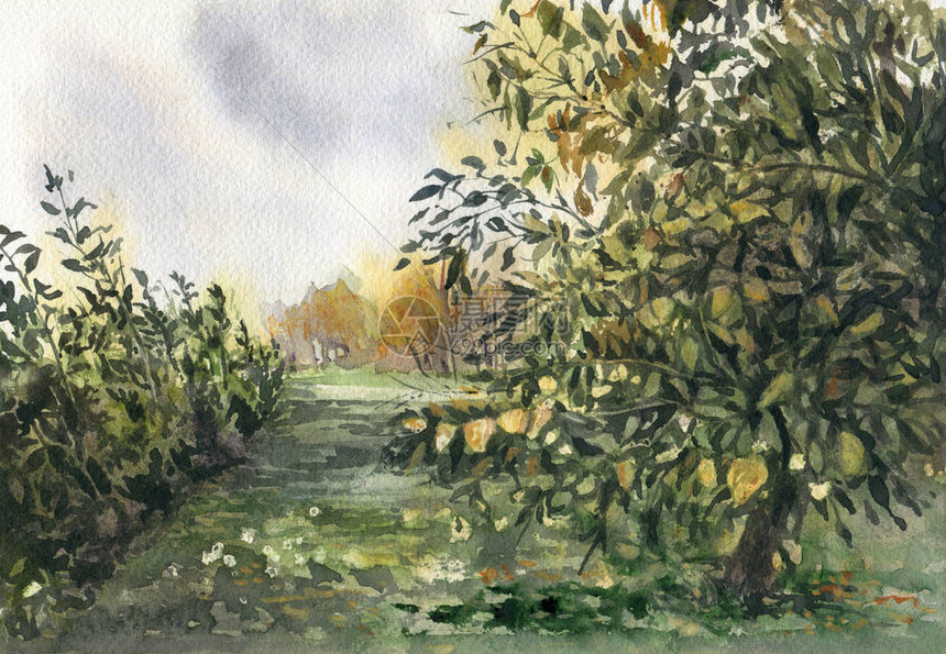 秋天的风景用水彩画手绘插图高清图片下载-正版图片507474463-摄图网