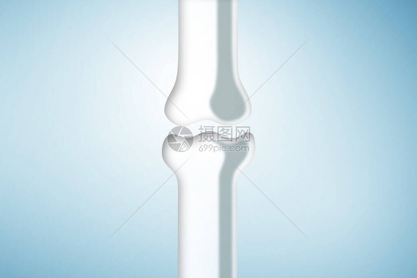 人体骨关节示意图高清图片下载-正版图片507493127-摄图网