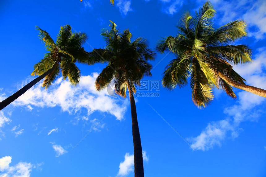 加勒比最美丽的地方高清图片下载-正版图片507503699-摄图网