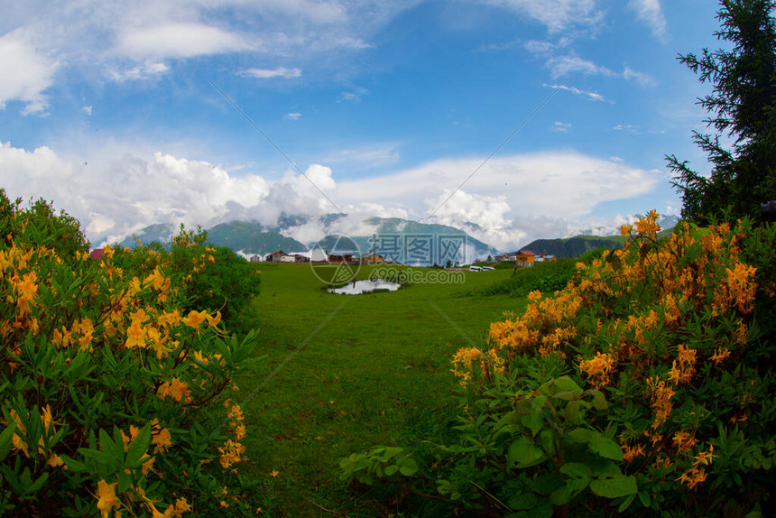 黑海土耳其的Badara高原Rize高清图片下载-正版图片507506546-摄图网