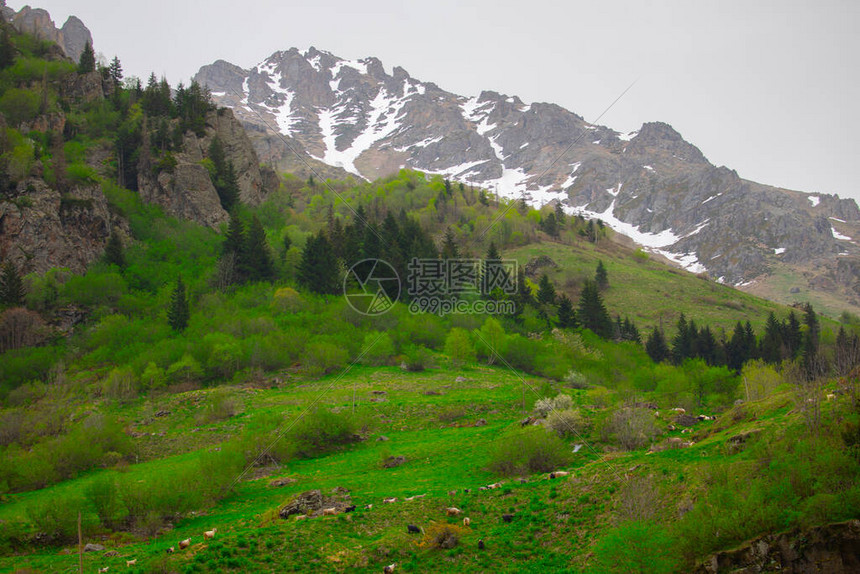 从Rize市Ayder村Kackar山上的GelinTu高清图片下载-正版图片507507393-摄图网