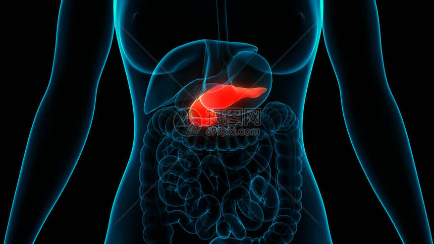 Gallbladder解剖术高清图片下载-正版图片507508692-摄图网