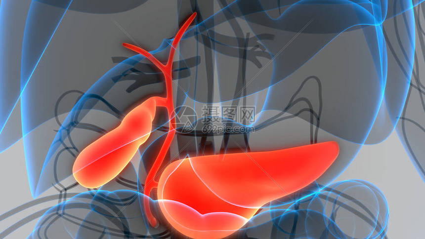 Gallbladder解剖术高清图片下载-正版图片507510081-摄图网