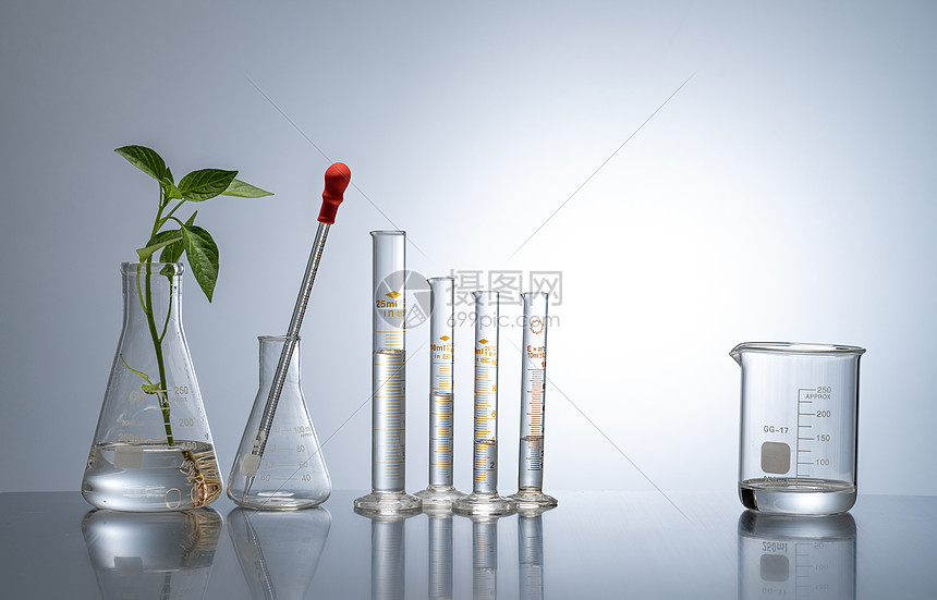 实验室里的玻璃器皿高清图片下载-正版图片507614916-摄图网