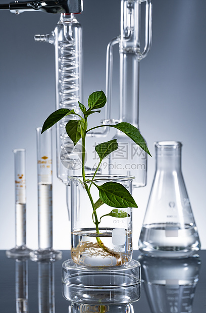 实验室里的玻璃器皿高清图片下载-正版图片507614990-摄图网