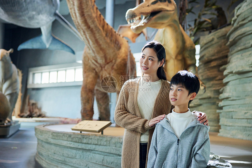 妈妈带着儿子参观博物馆动物标本高清图片下载-正版图片507697655-摄图网