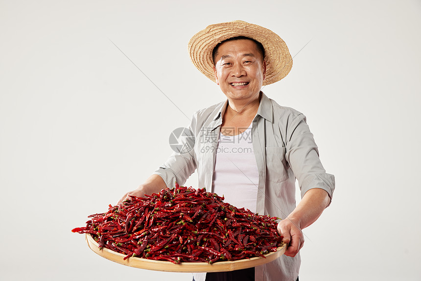 农民辣椒大丰收高清图片下载-正版图片507708496-摄图网