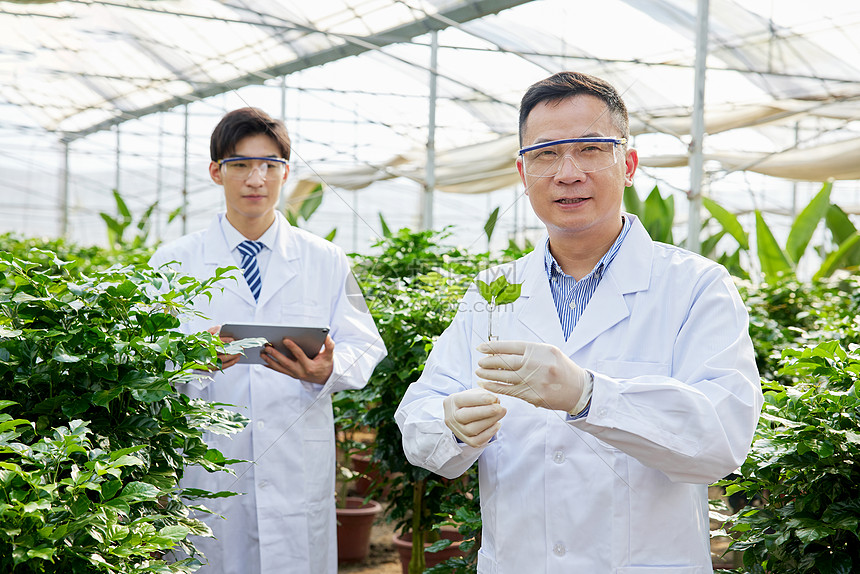 科研人员向我们展示研究成果高清图片下载-正版图片507716687-摄图网