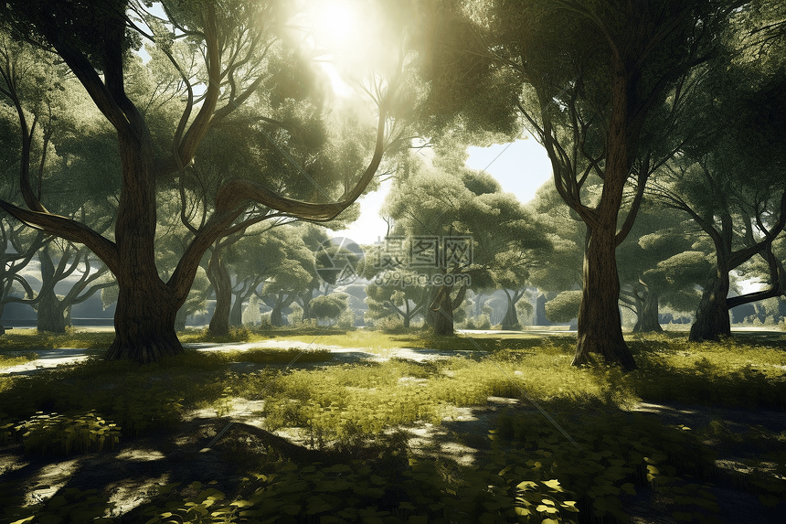 阳光照射树木插画图片下载-正版图片600030356-摄图网