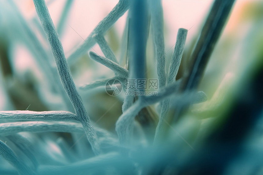 用显微镜观察微生物图片素材-正版创意图片600173828-摄图网