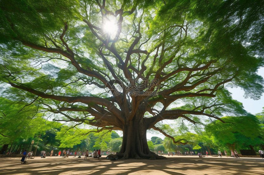 阳光下的大树高清图片下载-正版图片600193588-摄图网