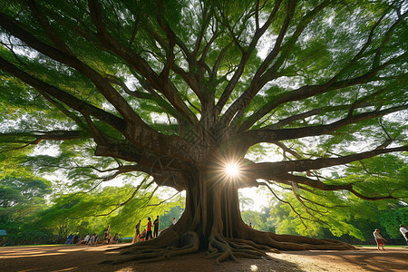 茂盛的大树高清图片下载-正版图片600193590-摄图网