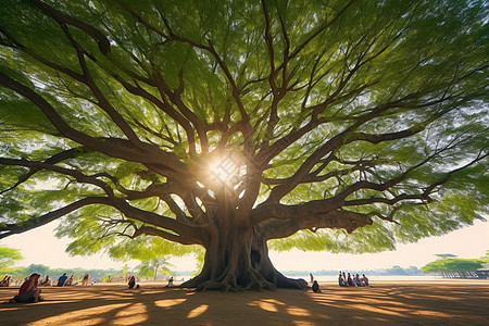 枝繁叶茂的大树高清图片下载-正版图片600193589-摄图网