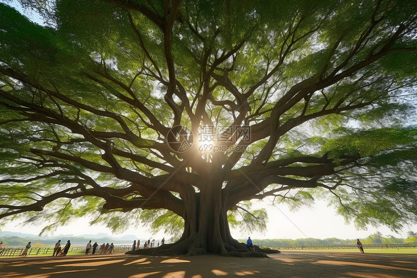 阳光下充满生机的大树高清图片下载-正版图片600193591-摄图网