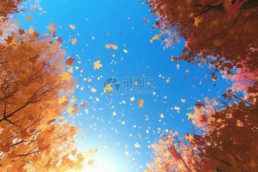 秋天落叶飘落的艺术插图插画图片下载-正版图片600204542-摄图网