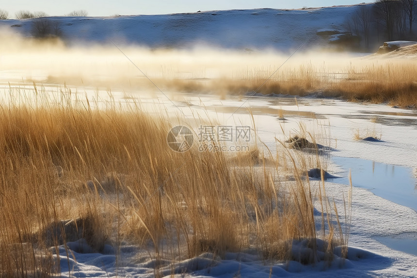 湖边的芦苇高清图片下载-正版图片600241513-摄图网