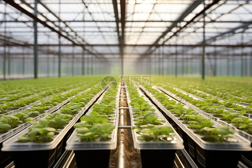 绿色种植园高清图片下载-正版图片600255863-摄图网