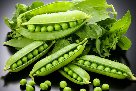 豌豆和豌豆荚高清图片下载-正版图片600256312-摄图网