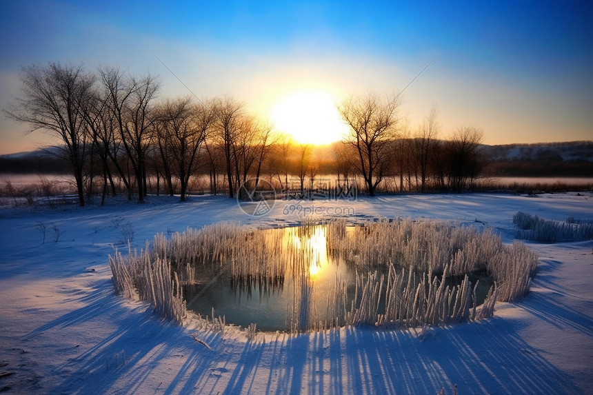 日出的光照在雪地上高清图片下载-正版图片600260357-摄图网