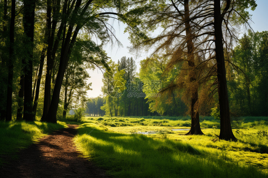 美丽的植物公园高清图片下载-正版图片600284537-摄图网