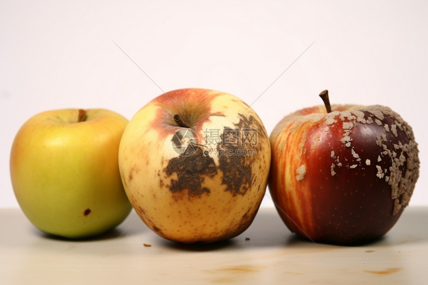腐烂的苹果高清图片下载-正版图片600288551-摄图网