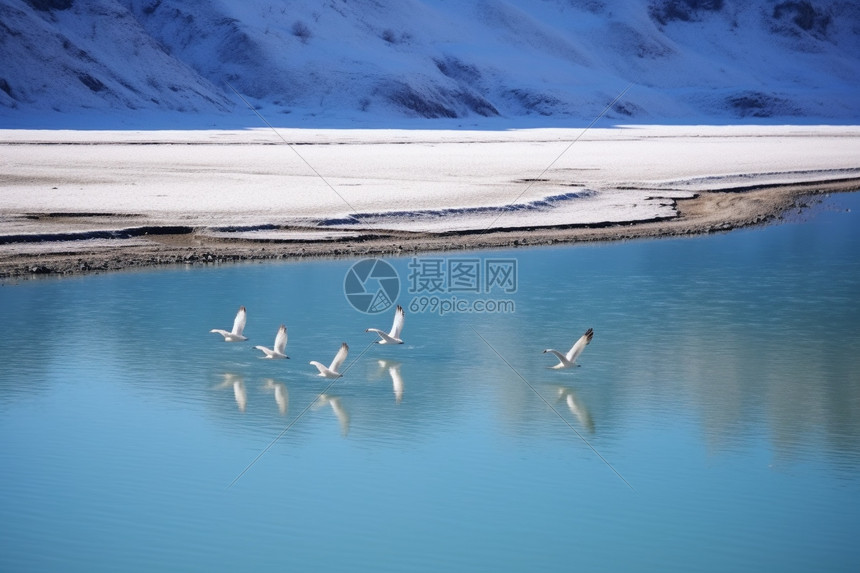 美丽的西藏景观高清图片下载-正版图片600335700-摄图网