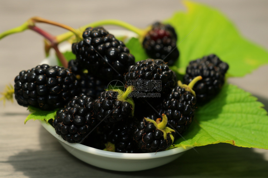 营养的桑葚高清图片下载-正版图片600348273-摄图网