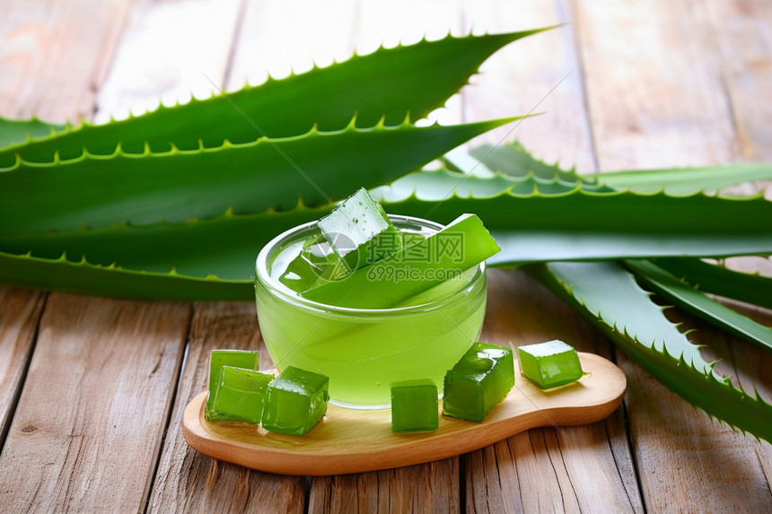 新鲜芦荟高清图片下载-正版图片600386683-摄图网