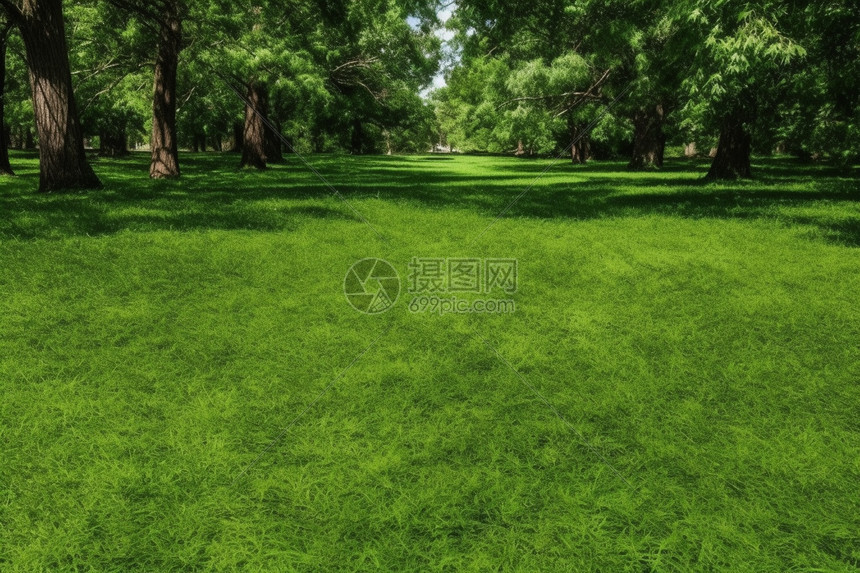 公园草地高清图片下载-正版图片600388202-摄图网