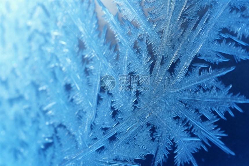 结冰的蓝色冰花高清图片下载-正版图片600401649-摄图网
