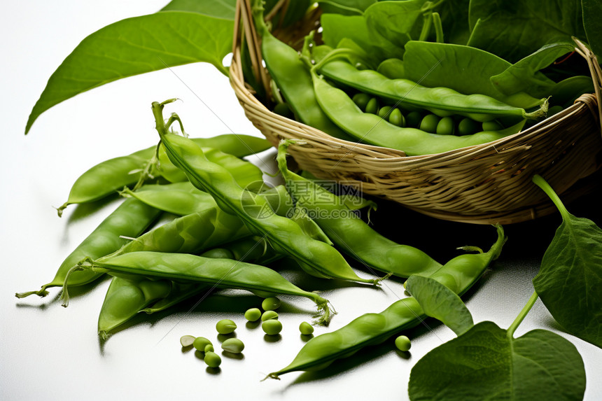 自然成熟的豌豆高清图片下载-正版图片600414194-摄图网